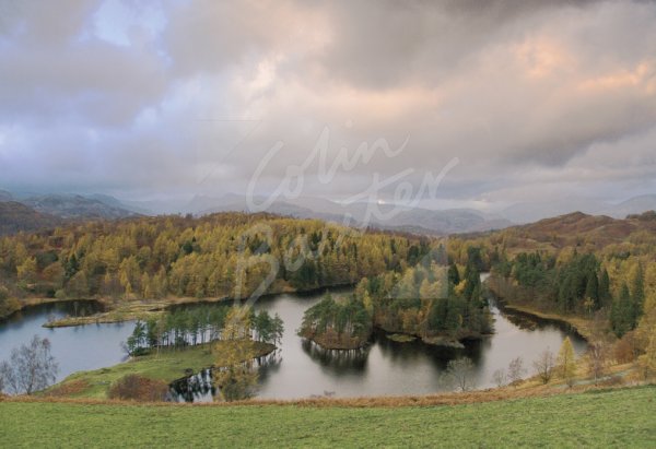 Tarn Hows & Cumbrian Mountains, Lake District Postcard (H Std CB)