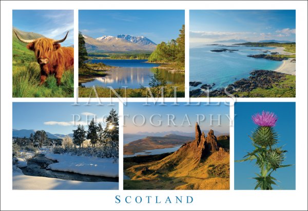 Scotland, Multi view,Cow,Nevis,Sanna Bay,Thistle,Storr,Glenmore ...