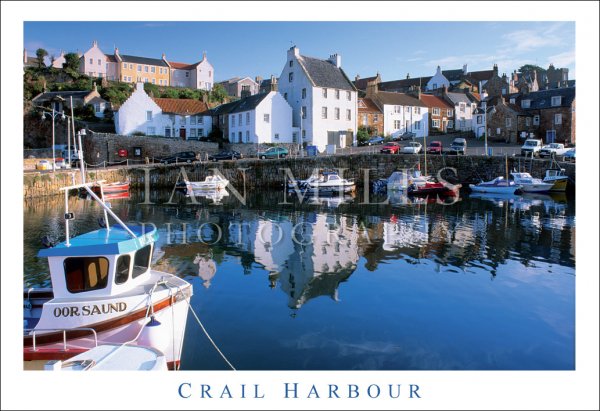 Crail Harbour Postcard (H std IM)