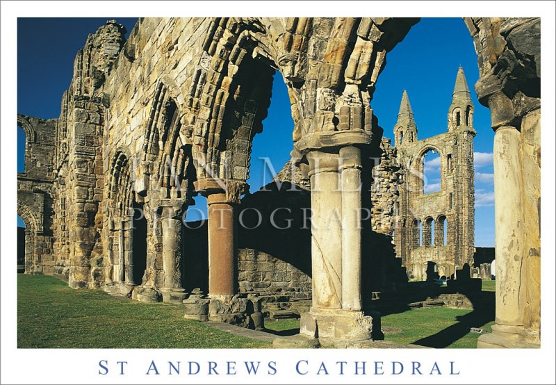 St Andrews Cathedral, East Gable & Cloister Arches Postcard (H std IM)